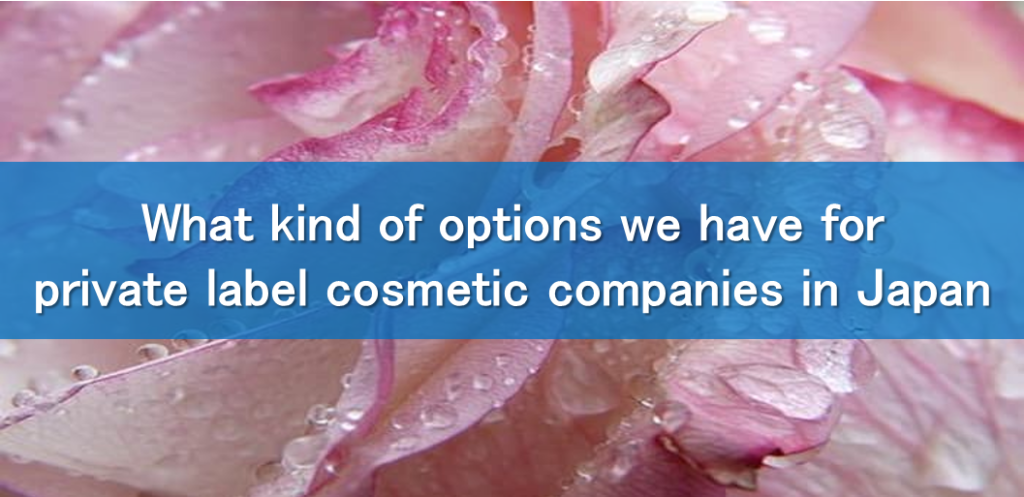 How To Choose Your Best Private Label Cosmetic Companies Oem Co Ltd