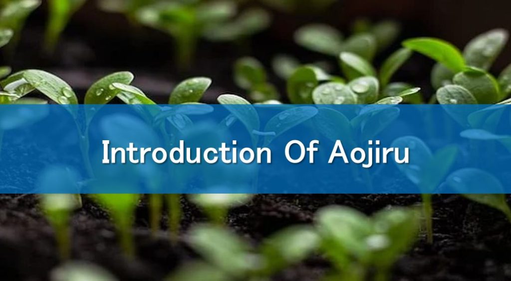 What Is Aojiru? Explanation Of Japanese Green Drink - OEM CO.,LTD.